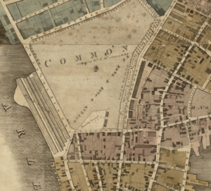 Mr. John Griffin and the Boston Common Treasure