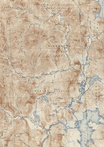 Grassroots genealogy